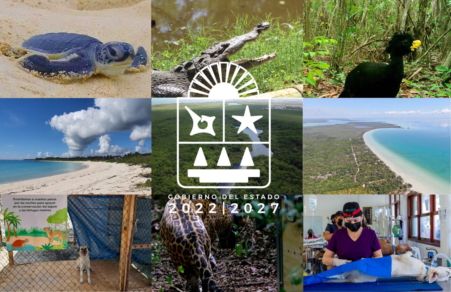 Inicio - Instituto de Biodiversidad y Áreas Protegidas del Estado de ...